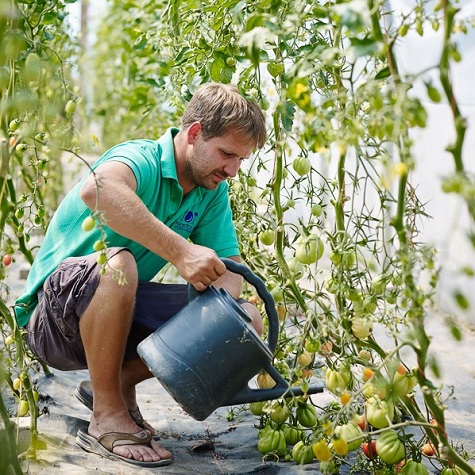 Producers - Nancarrow Farm