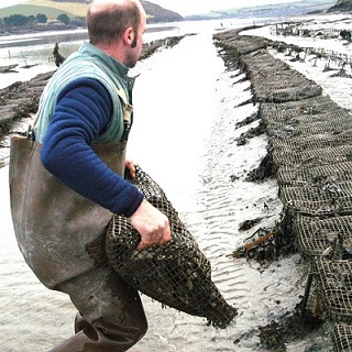 Producers - Nancarrow Farm